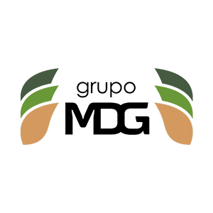 Home | Grupo MDG